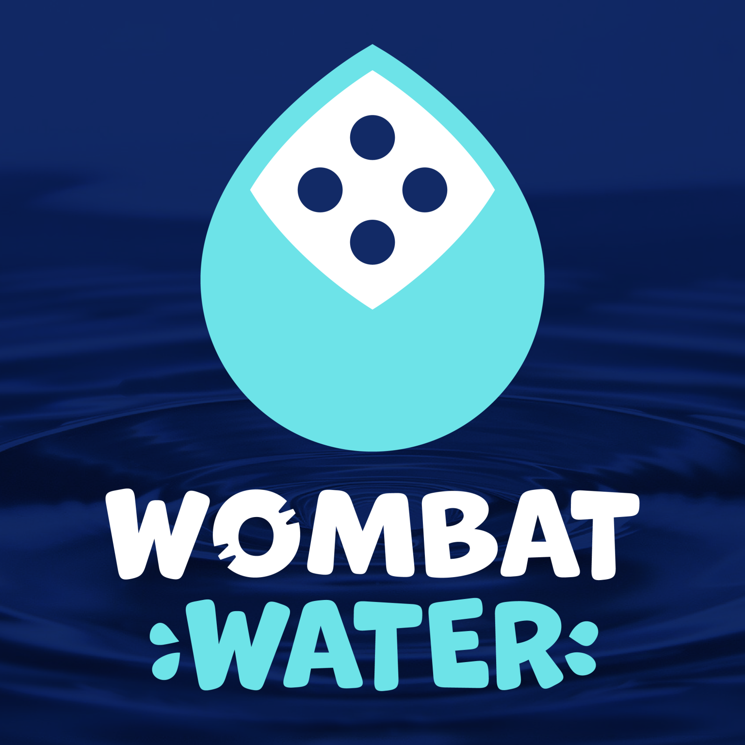 Hot Water (and an Update) – Wombat Water